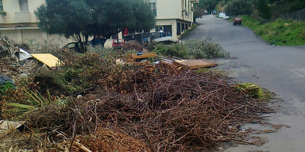 Ramaglie per strada a Palermo, «nessuno le raccoglie». Alberi da potare ...