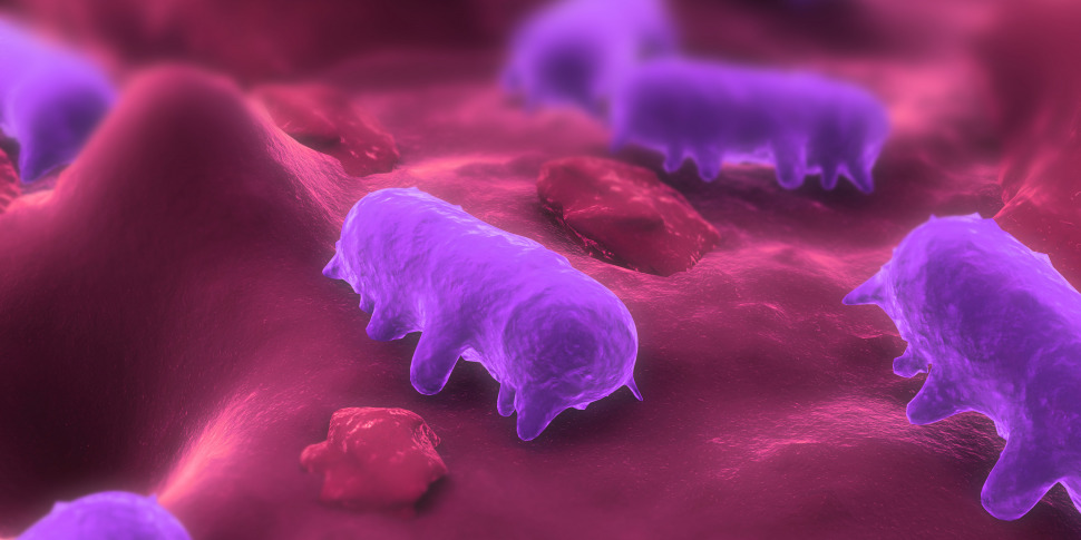 Batteri resistenti agli antibiotici: nel 2050 uccideranno più del ...