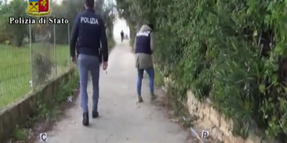 Scoperta una serra con oltre 400 piante di marijuana, due arresti a ... Scoperta una serra con oltre 400 piante di marijuana, due arresti a ...