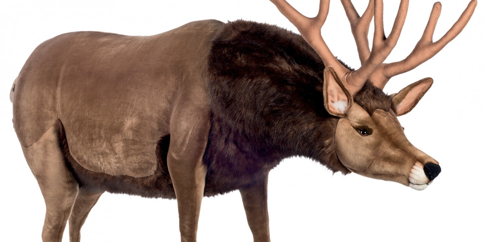 Animali in libertà a Palermo, mostra di peluche a grandezza naturale al ...