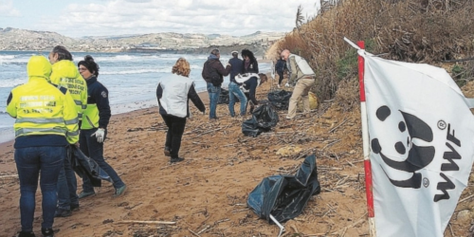 Il Wwf in azione a Licata, ripulita la spiaggia della Rocca - Giornale ...