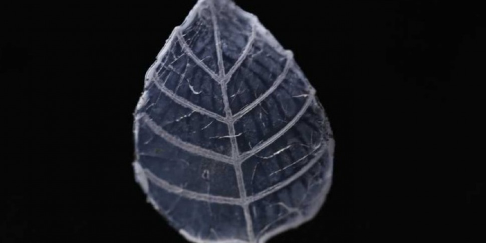 Vetro stampato in 3D, bello come un gioiello - Giornale di Sicilia