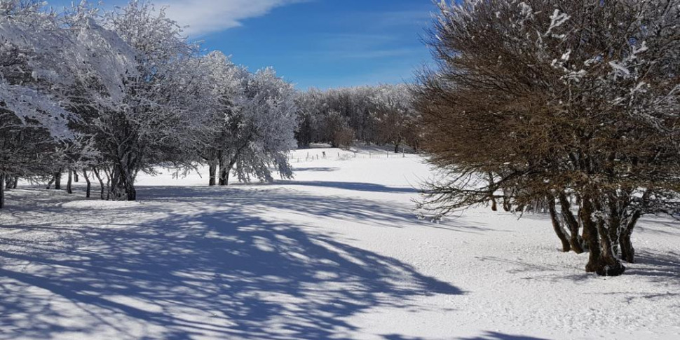 Arriva la neve sui Nebrodi, le foto da Alcara Li Fusi e Cesarò ...
