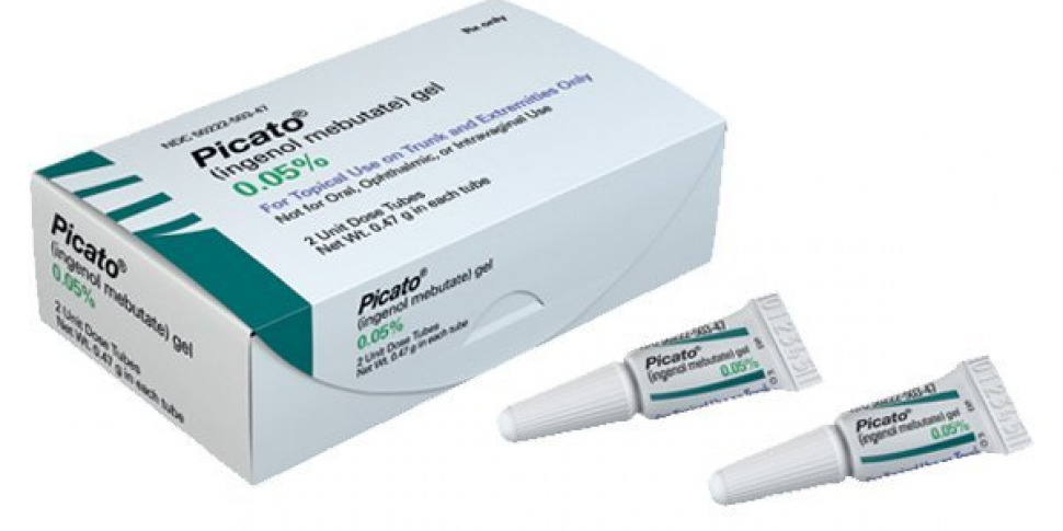 Picato gel, l'Ema sospende il farmaco: "Possibile rischio cancro alla ...