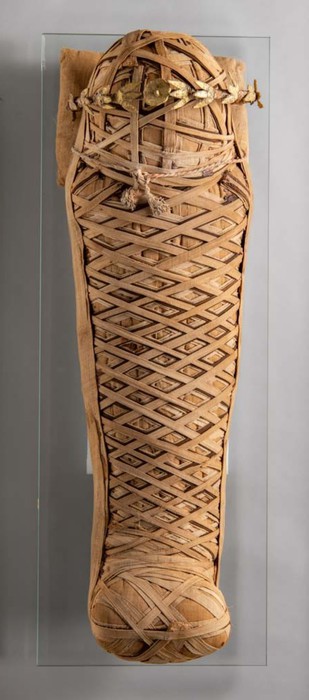 Disiecta membra, l'Egizio e il museo impossibile - Giornale di Sicilia