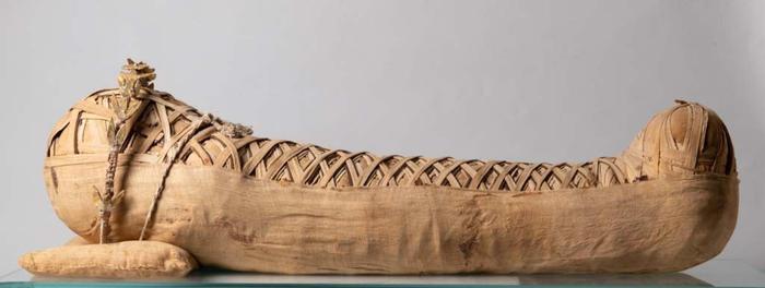 Disiecta membra, l'Egizio e il museo impossibile - Giornale di Sicilia