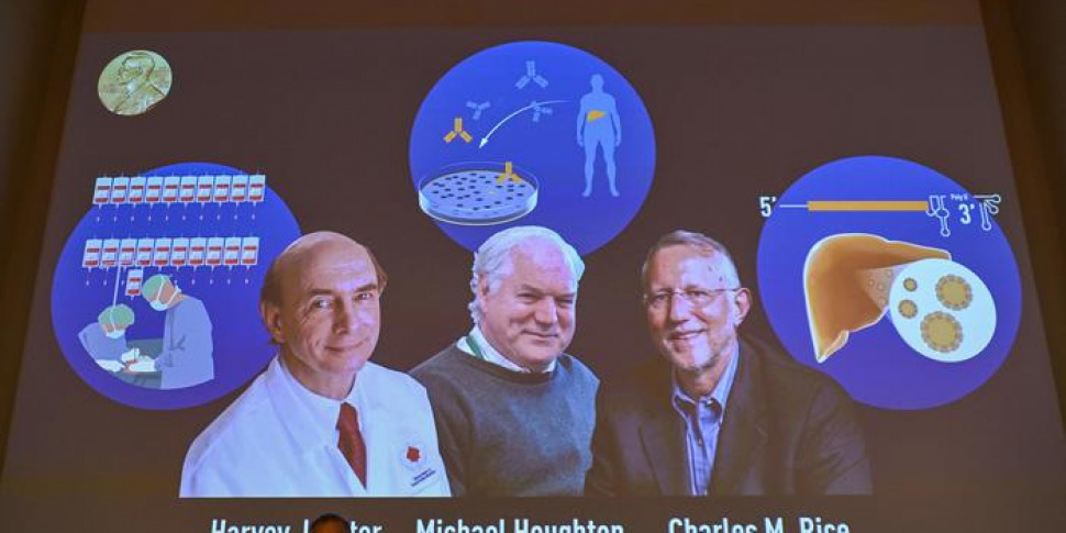 Il Nobel per la Medicina 2020 ai virologi che scoprirono il virus dell'epatite C - Giornale di ...