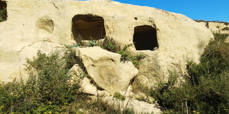 Troina, ok al percorso naturalistico Monte Muganà: fondi in arrivo ...