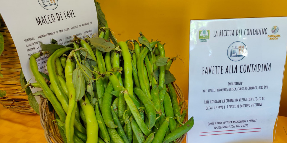 Con il caldo in pieno inverno arrivano le primizie: in Sicilia fave e ...