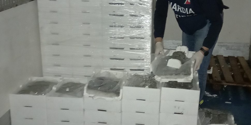 Pesca di neonata e pesce privo di tracciabilità, scattano sanzioni e ...