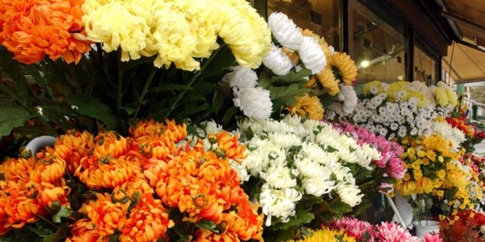 Emergenza Covid, arriva il BonuSicilia Fiorai: 5 milioni a fondo ...