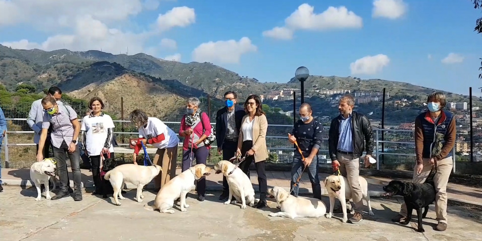 Cani guida, una nuova casa per l’Helen Keller a Messina - Giornale di ...