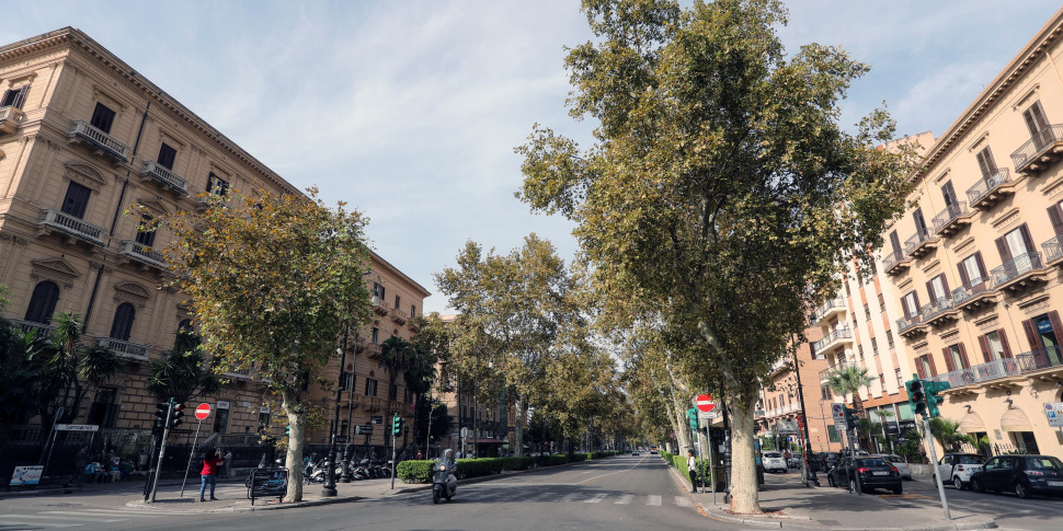 Palermo, al via i lavori di manutenzione di via Libertà - Giornale di Sicilia