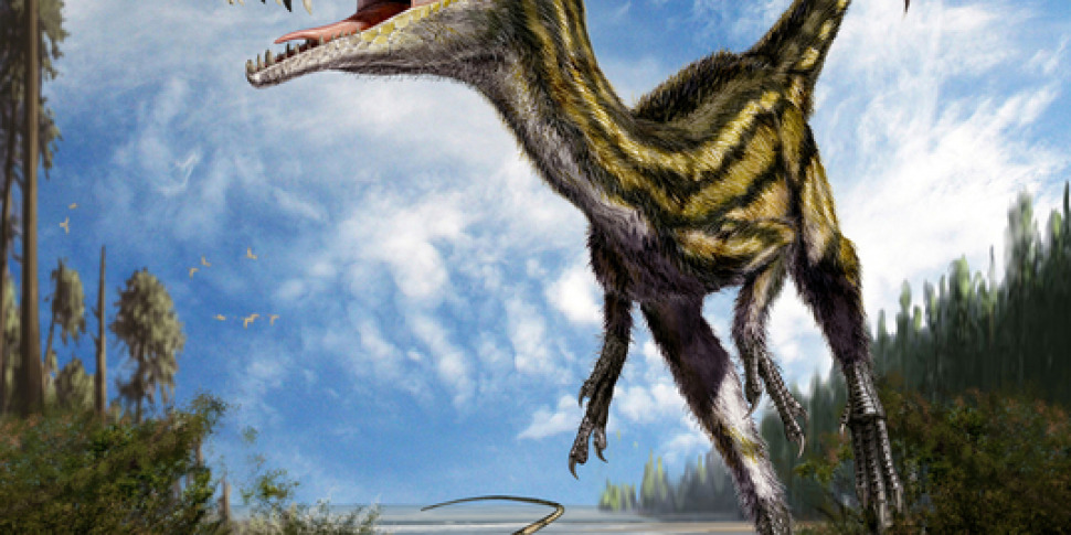 Internal organs of first Italian dinosaur reconstructed in 3D ...