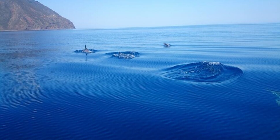Alle Isole Eolie arriva il progetto delle oasi blu: selezionate le aree ...