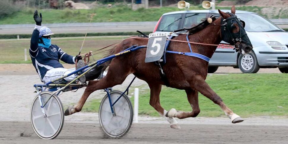 Ippica, a Francesco La Rosa il primo trofeo Città di Palermo - Giornale ...
