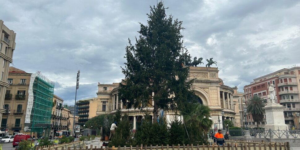 Il Natale arriva anche a Palermo, collocato l'albero davanti al ...