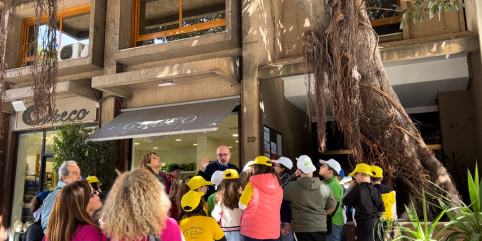 Palermo, partono le verifiche sulla stabilità dell'albero Falcone: via ...