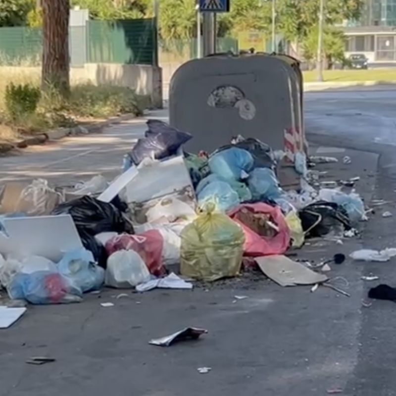 Emergenza rifiuti a Palermo, roghi continui: un negozio danneggiato ... Emergenza rifiuti a Palermo, roghi continui: un negozio danneggiato ...