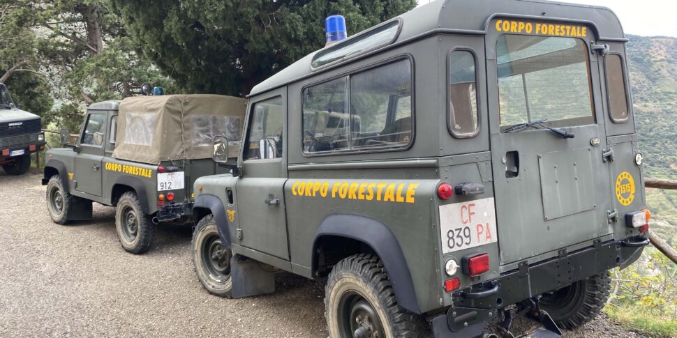 Il toto-concorso delle guardie forestali in Sicilia, i posti ...