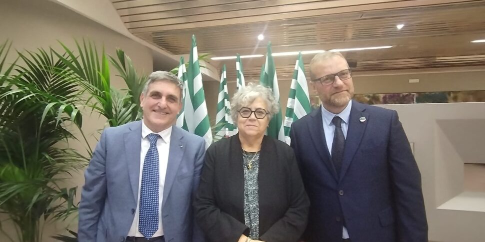 Industria, Stefano Trimboli riconfermato segretario generale della Femca Cisl Sicilia - Giornale ...