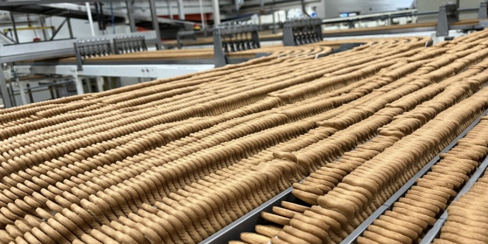 CTH Invest Group, in esercizio 2023/2024 fatturato consolidato a 3 ...