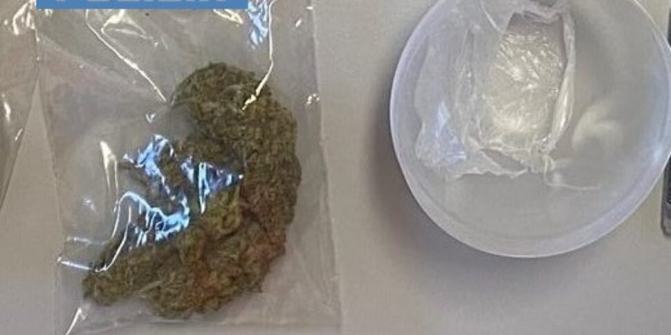 Catania, droga nascosta nel bagno: arrestato grazie al fiuto dei cani ...