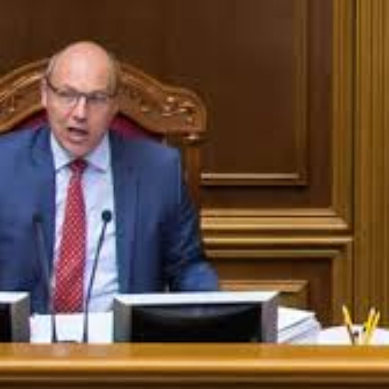 Ucraina, ucciso l'ex presidente del parlamento Andrij Parubij ...