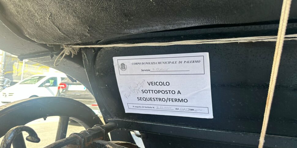 Palermo, il deputato regionale La Vardera minacciato dai vetturini ...