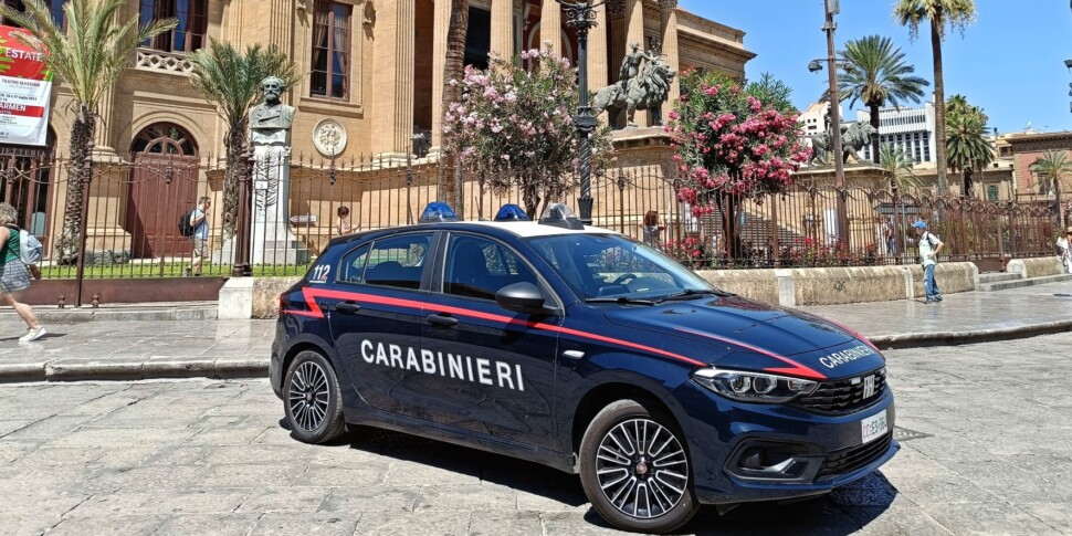 Palermo, il fiuto del cane Ron incastra due pusher: cocaina e hashish ...