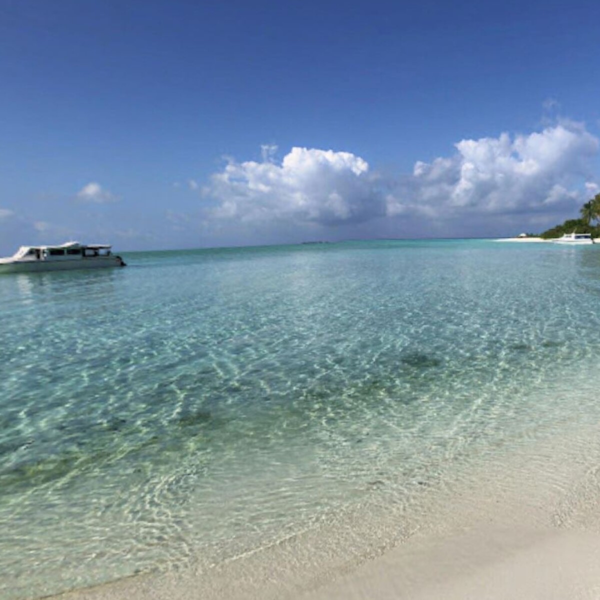 Gli italiani dispersi alle Maldive, l'isola di Alimathà meta dei sub di ...
