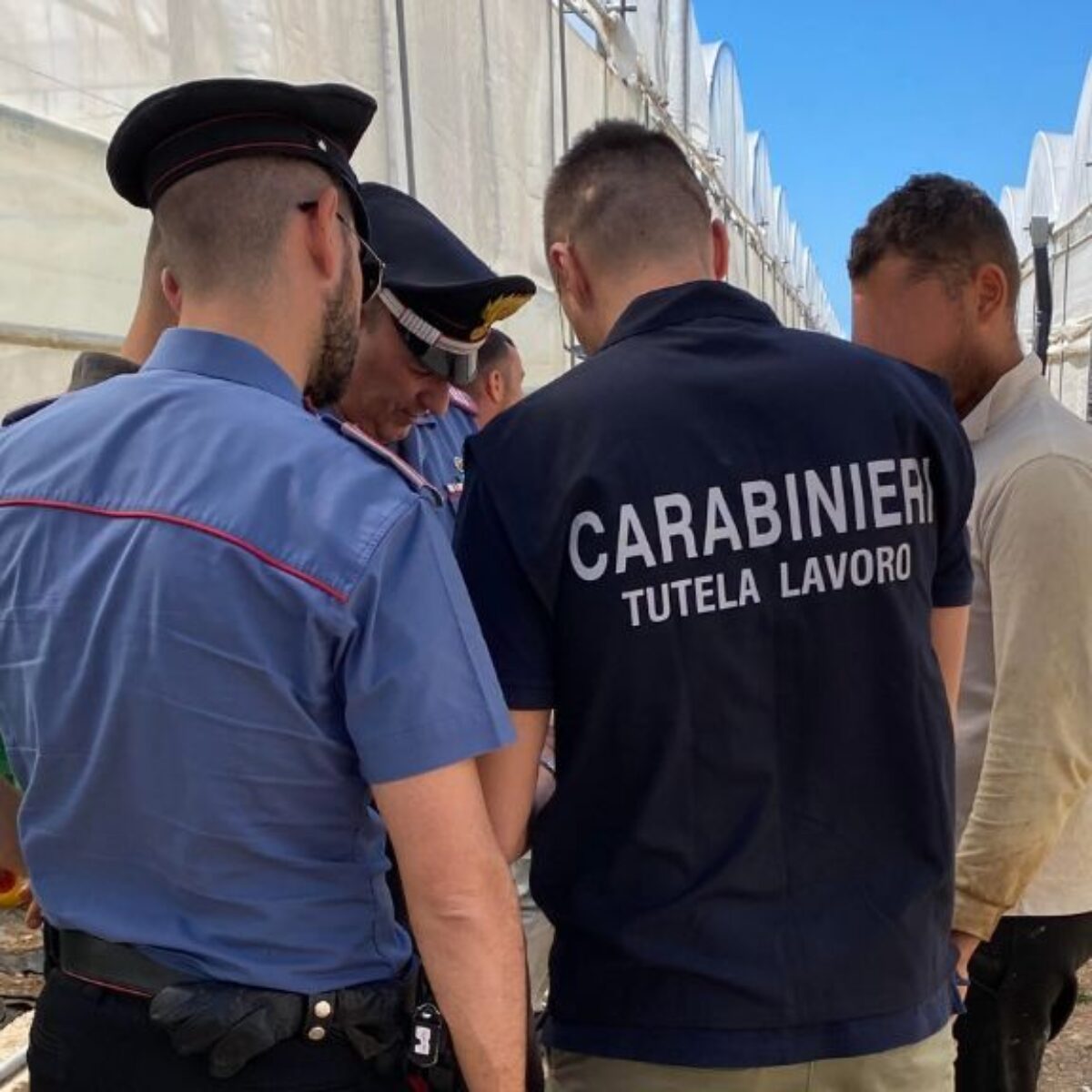 Lotta al caporalato nel settore agricolo, 18 aziende irregolari in ...
