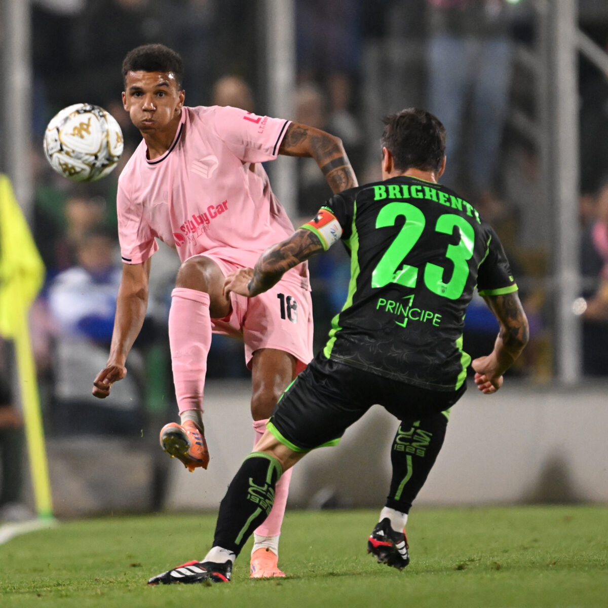 Il Palermo si mette al lavoro per riprendere Rui Modesto - Giornale di ...